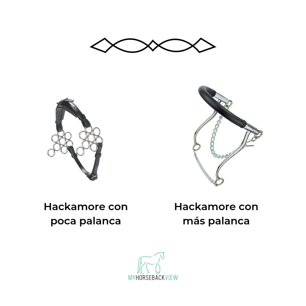 ¿Qué es un Hackamore? | My Horseback View