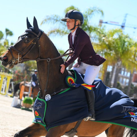 Equi for All lanza un nuevo Show Jumping Challenge | My Horseback View